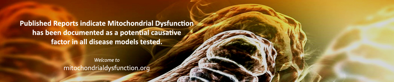 Mitochondrial Dysfunction | Lyme Disease